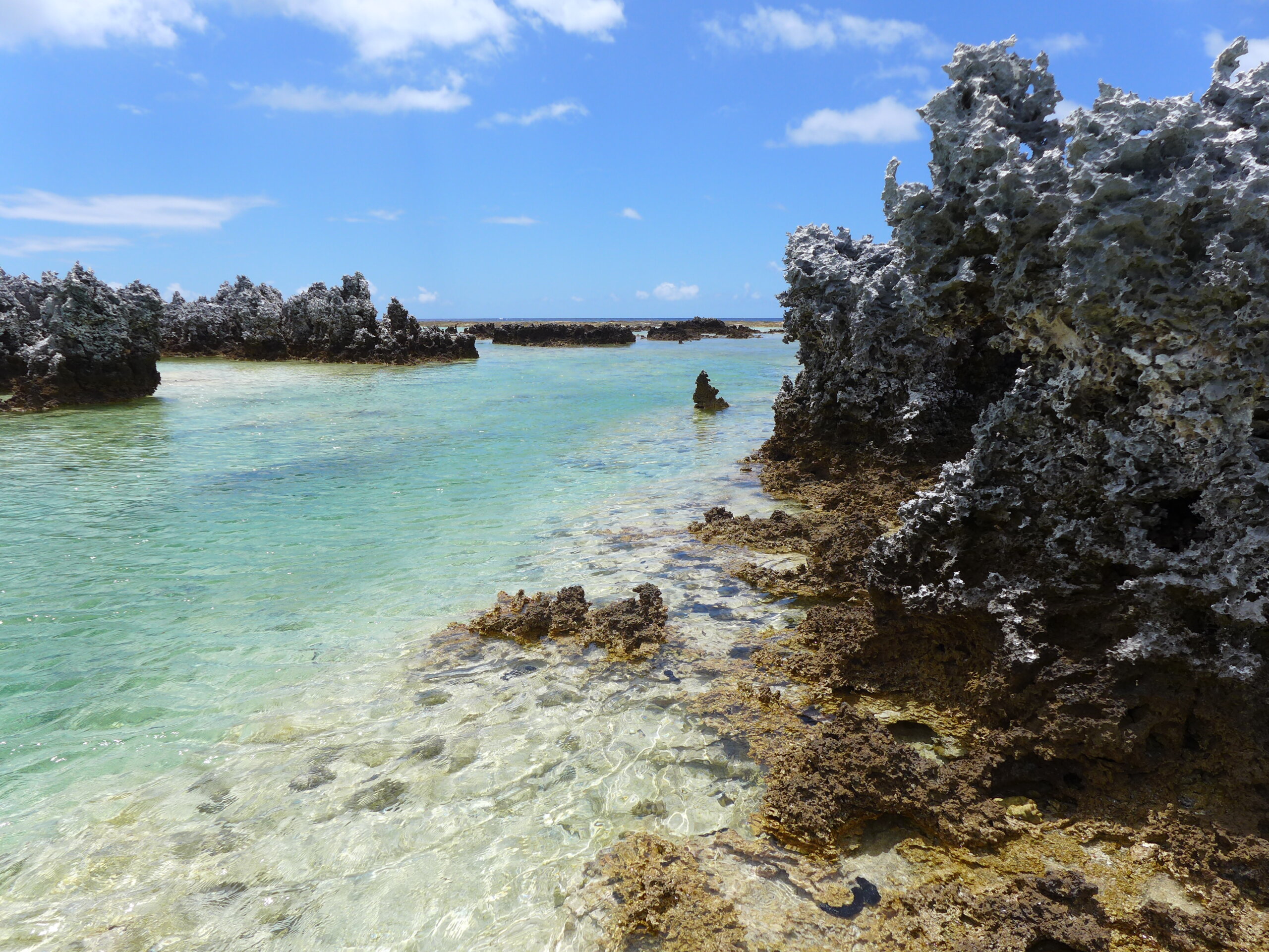 Crociera di intera giornata all'isola dei coralli di Rangiroa, pranzo ...
