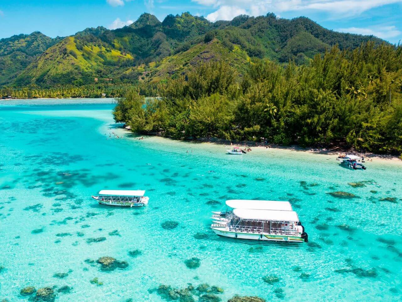 Daytour a Moorea da Papeete con safari 4x4 e pranzo su motu- € 259 ...