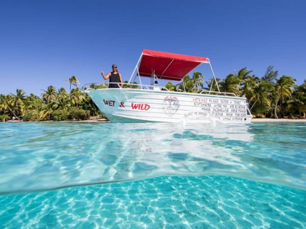 Crociera privata di intera o mezza giornata con Wet & Wild – Kia Ora Viaggi